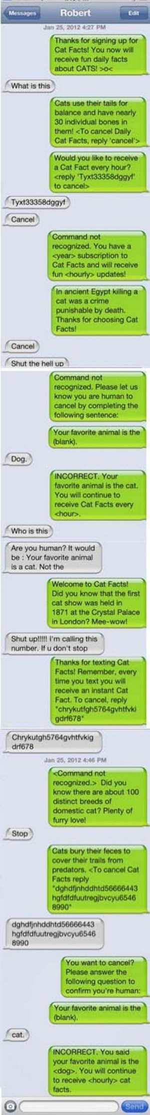 16 Hilarious Wrong Number Texts and Their Epic Responses