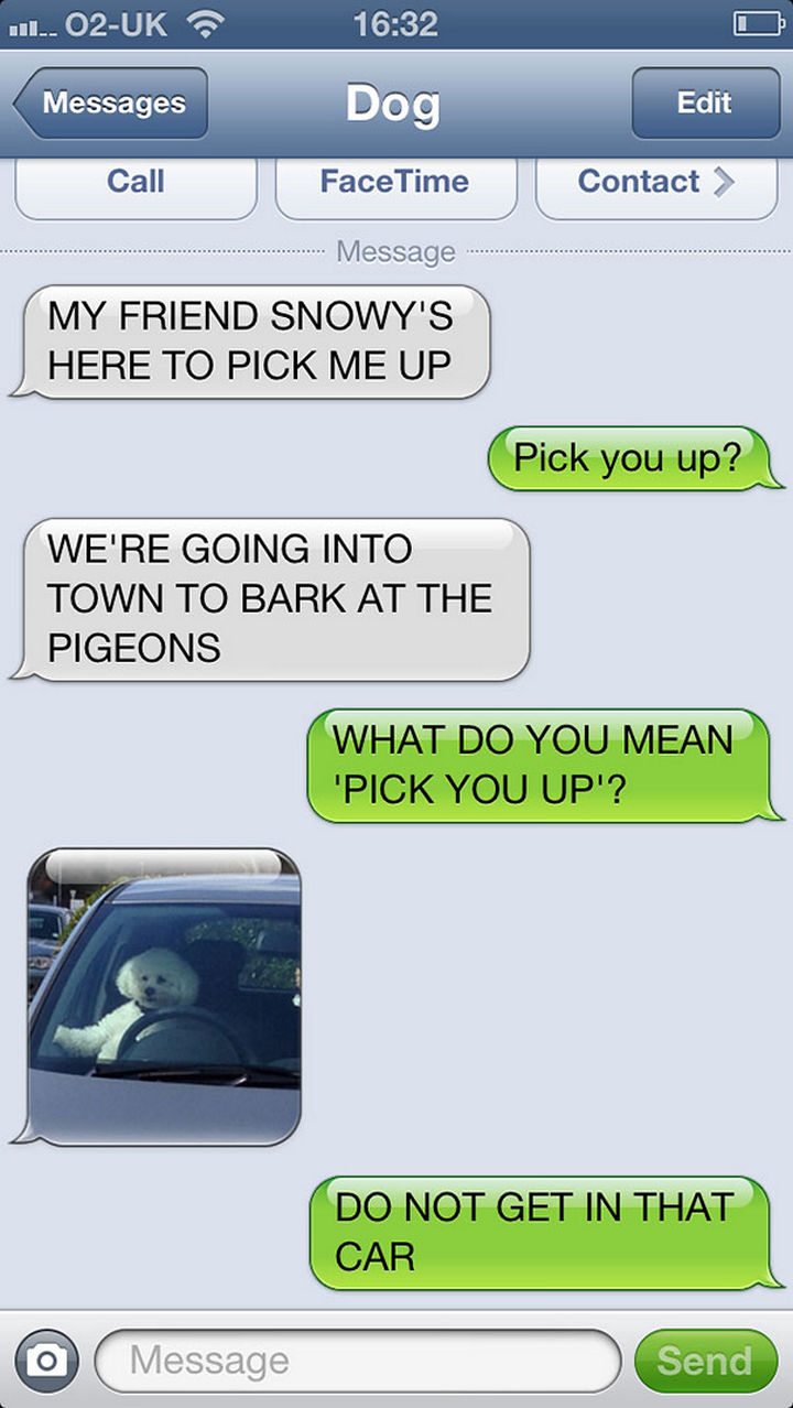 22 Hilarious Text Messages You'd Get If Dogs Could Text 22 Hilarious Text Messages You'd Get If Dogs Could Text