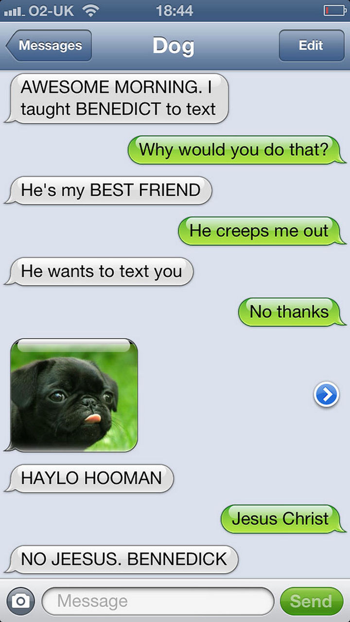 22 Hilarious Text Messages You'd Get If Dogs Could Text 22 Hilarious Text Messages You'd Get If Dogs Could Text