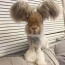 Wally the Angora Rabbit With His Fluffy Ears Is the Cutest Ever