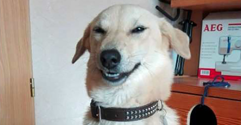 26 Funny Photos That Are Sure to Make You Laugh