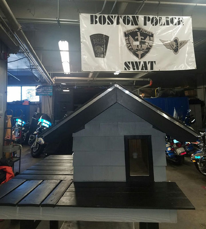 Boston Police SWAT Team Build a Cat Condo for Their Stray "SWAT Cat"