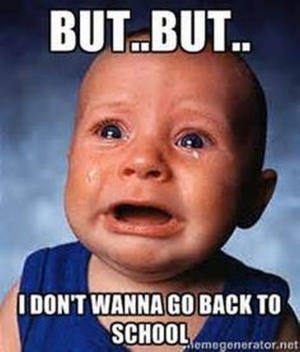 49 Funny School Memes That Remind Us 'Back to School' Isn't Exciting ...