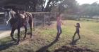 Horse Dances to 'Watch Me (Whip/Nae Nae)' with Two Little Girls