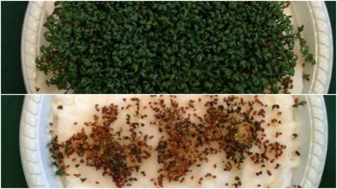 Vertigo Treatment With Dr. Carol Foster