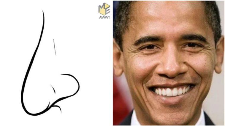 8 Types of Noses And What Its Shape Reveals About Your Personality