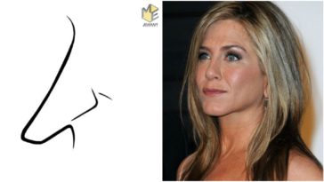 8 Types of Noses And What Its Shape Reveals About Your Personality
