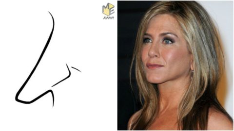 8 Types of Noses And What Its Shape Reveals About Your Personality