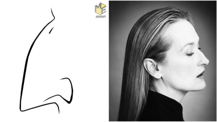 8 Types of Noses And What Its Shape Reveals About Your Personality