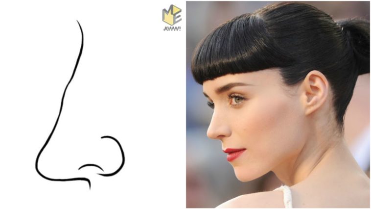 8 Types of Noses And What Its Shape Reveals About Your Personality