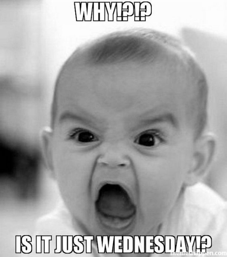 45 Funny Wednesday Memes to Make Your Hump Day a Little Better