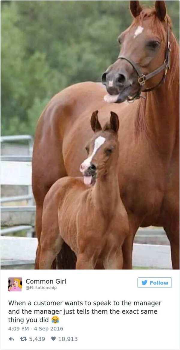 47 Funny Work Memes for Anybody With a Job in the Workplace