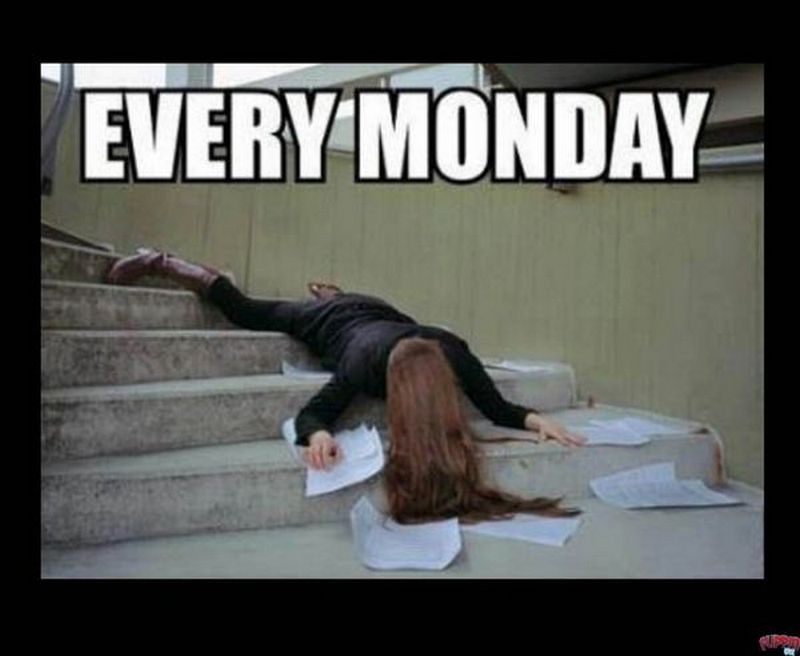 65 Funny Monday Memes Got Me Like