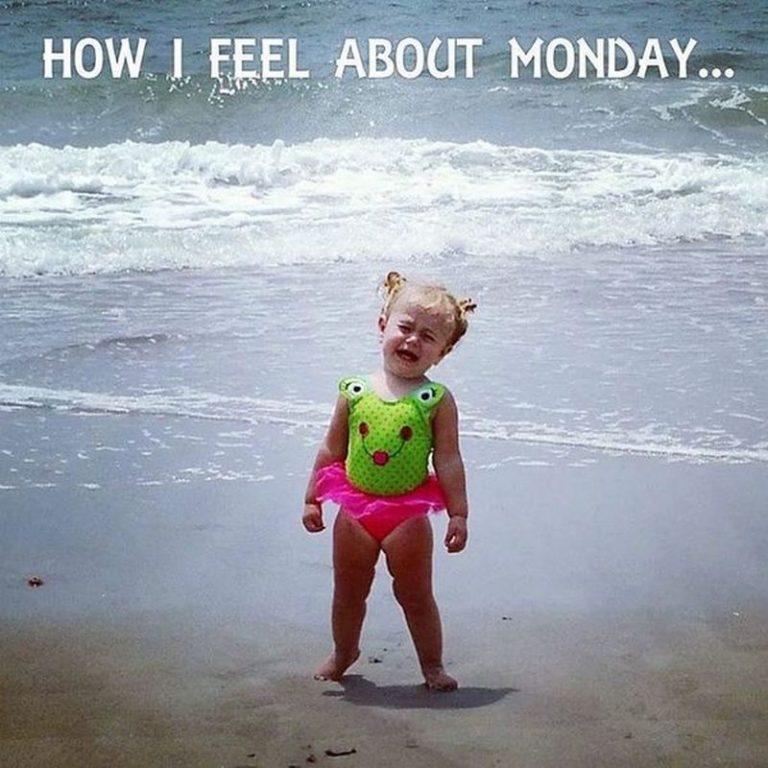 65 Funny Monday Memes Got Me Like