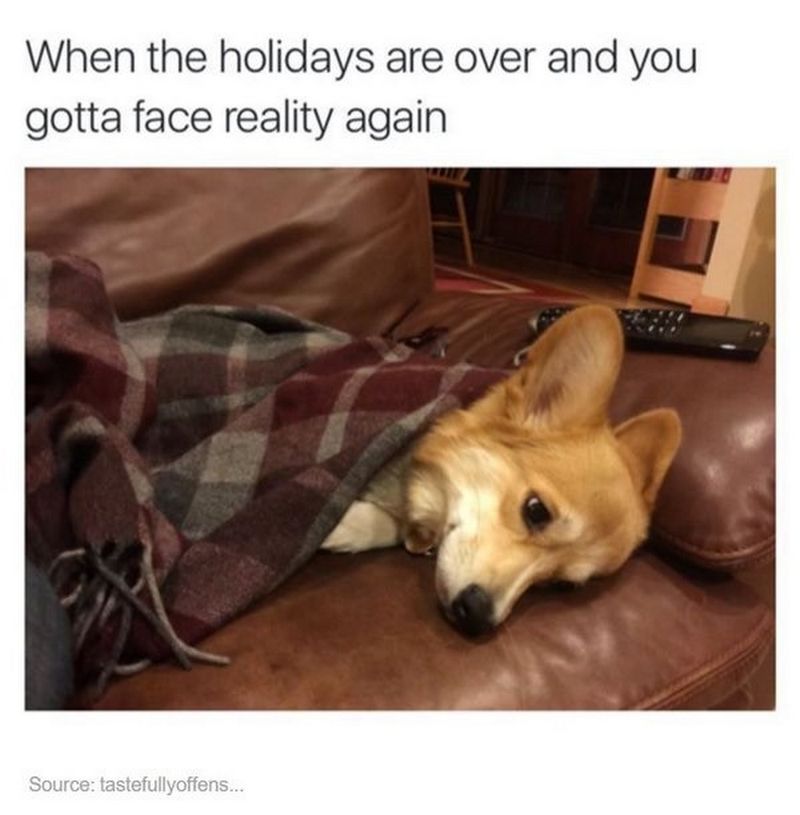 21 Funny Back to Work Memes Make That First Day Back Less Dreadful