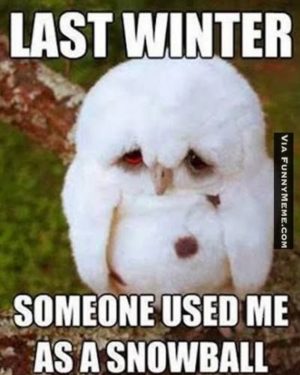 55 Funny Winter Memes That Are Instantly Relatable If You're Dealing ...