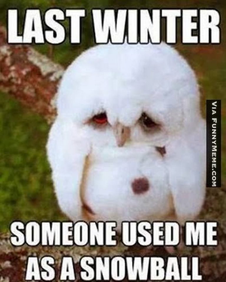 55 Funny Winter Memes That Are Instantly Relatable If You're Dealing ...