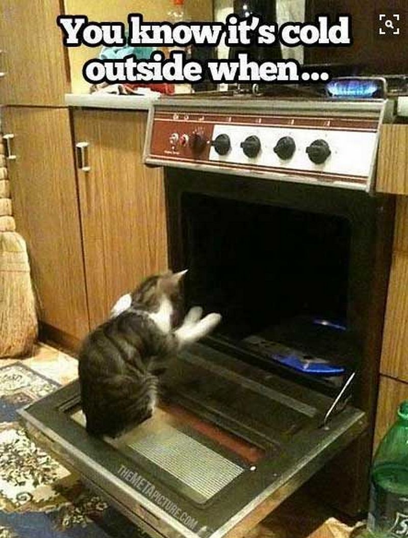 55 Funny Winter Memes That Are Relatable If You Live in the North