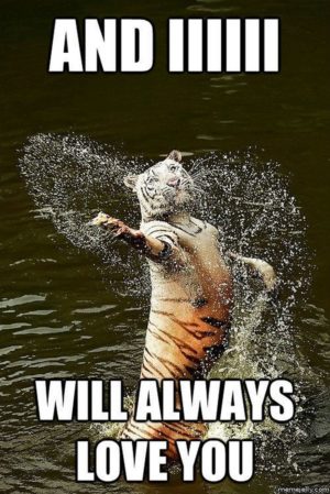 101 Funny I Love You Memes to Share with People You Like