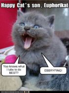 85 Happy Memes to Brighten Your Day and Make You Smile