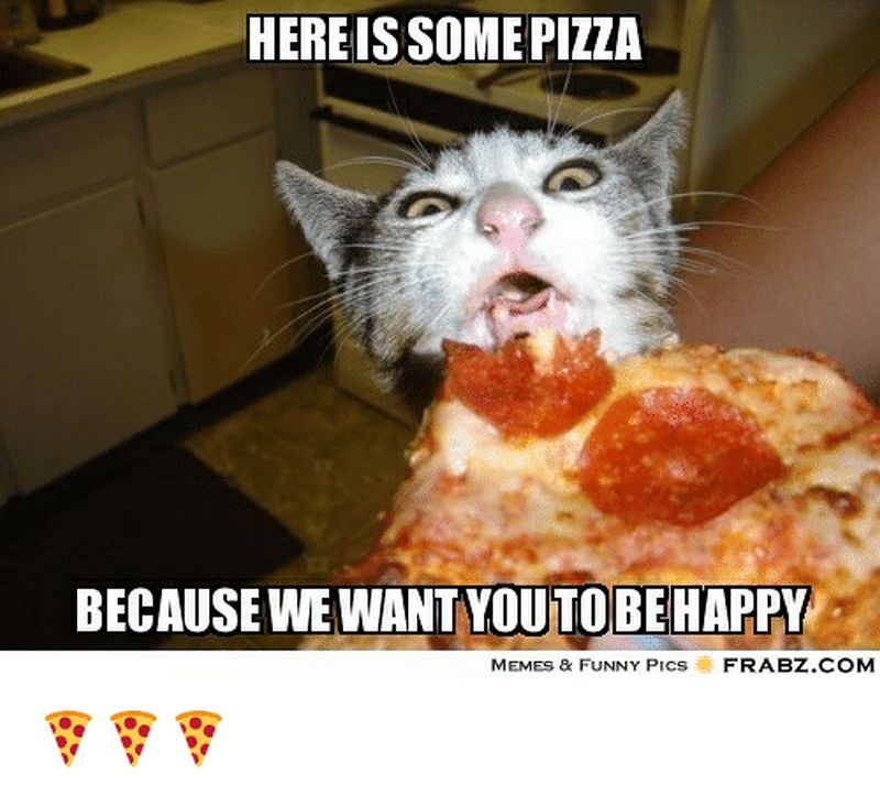 85 Happy Memes to Brighten Your Day and Make You Smile