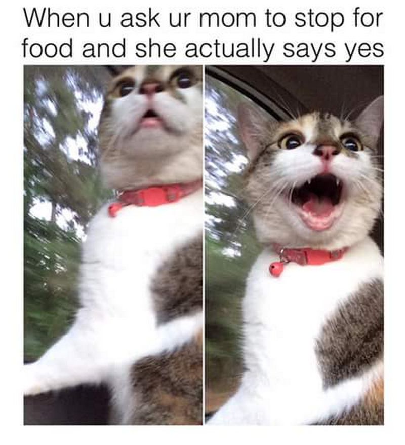 85 Happy Memes to Brighten Your Day and Make You Smile