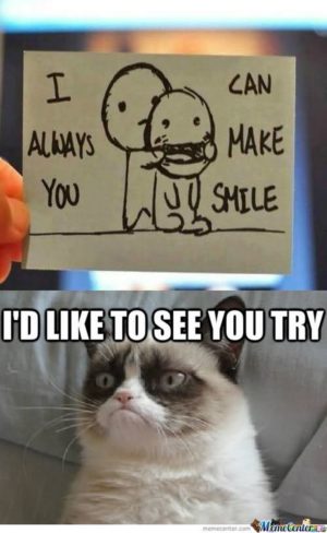 101 Smile Memes to Make Your Day Even Brighter