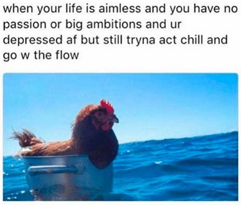 61 Depression Memes That Prove Laughter Is the Best Medicine