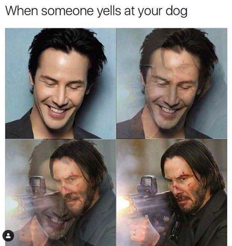 51 Keanu Reeves Memes That Are Simply Breathtaking