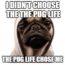 101 Lovable Pug Memes That Are Too Puggin' Cute
