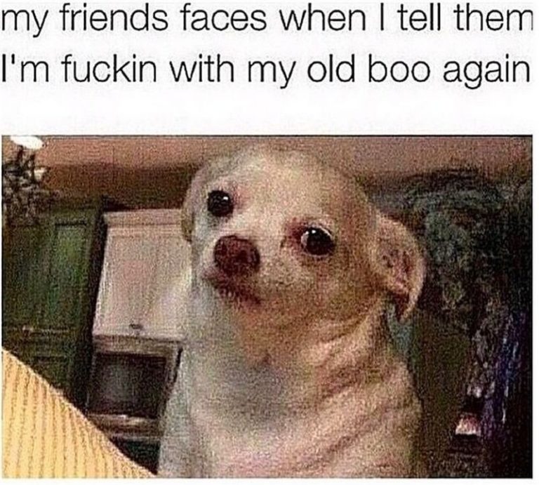 65 Best Funny Friend Memes to Celebrate Best Friends