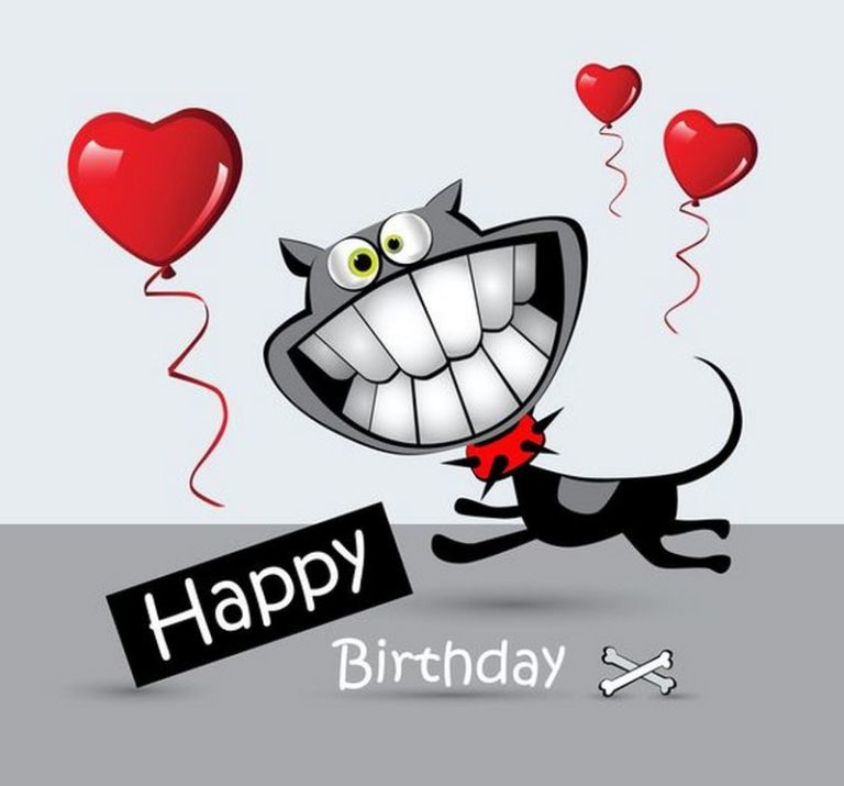 101 Funny Cat Happy Birthday Memes
