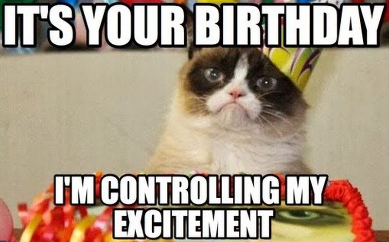 101 Funny Cat Happy Birthday Memes
