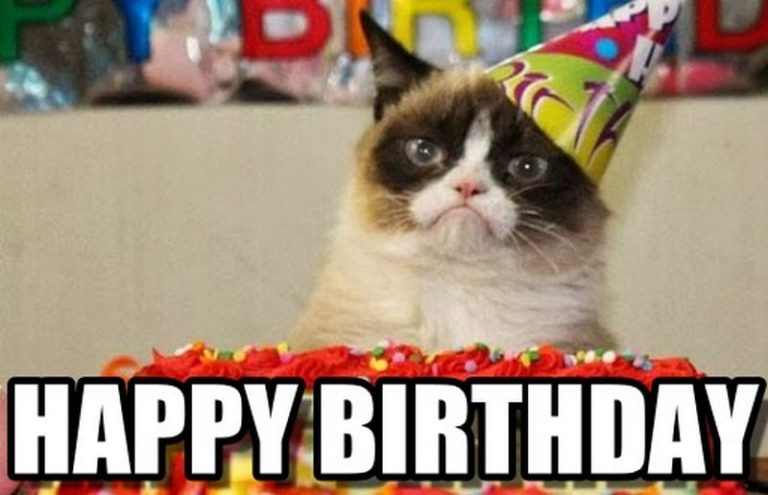 101 Funny Cat Happy Birthday Memes