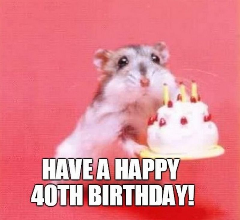 101 Happy 40th Birthday Memes