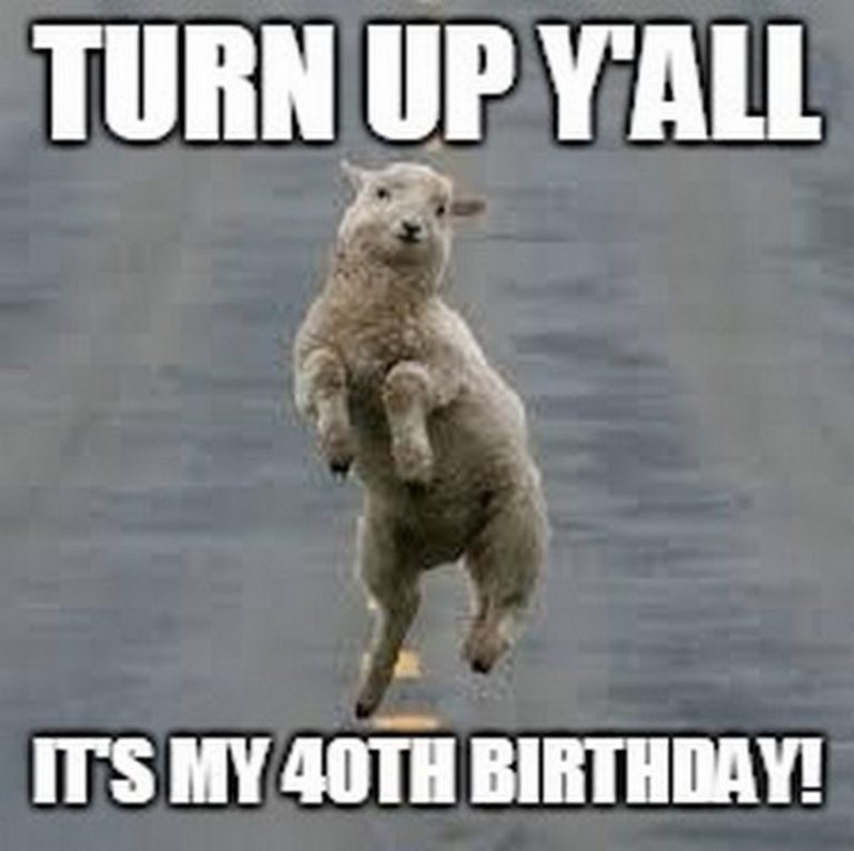 101 Funny 40th Birthday Memes to Take the Dread Out of Turning 40