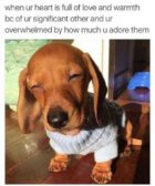 59 Girlfriend Memes That People Crazy in Love Will Relate To