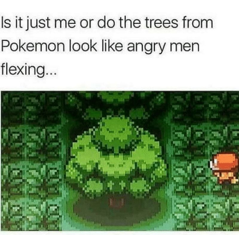71 Funny Pokémon Memes Trainers Will Love