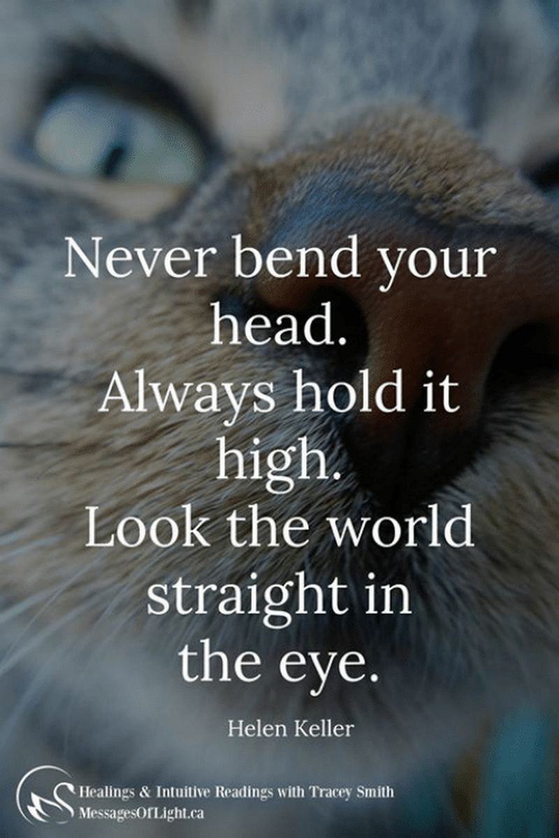 41 Positive Quotes for Having the Best Perspective and Outlook on Life