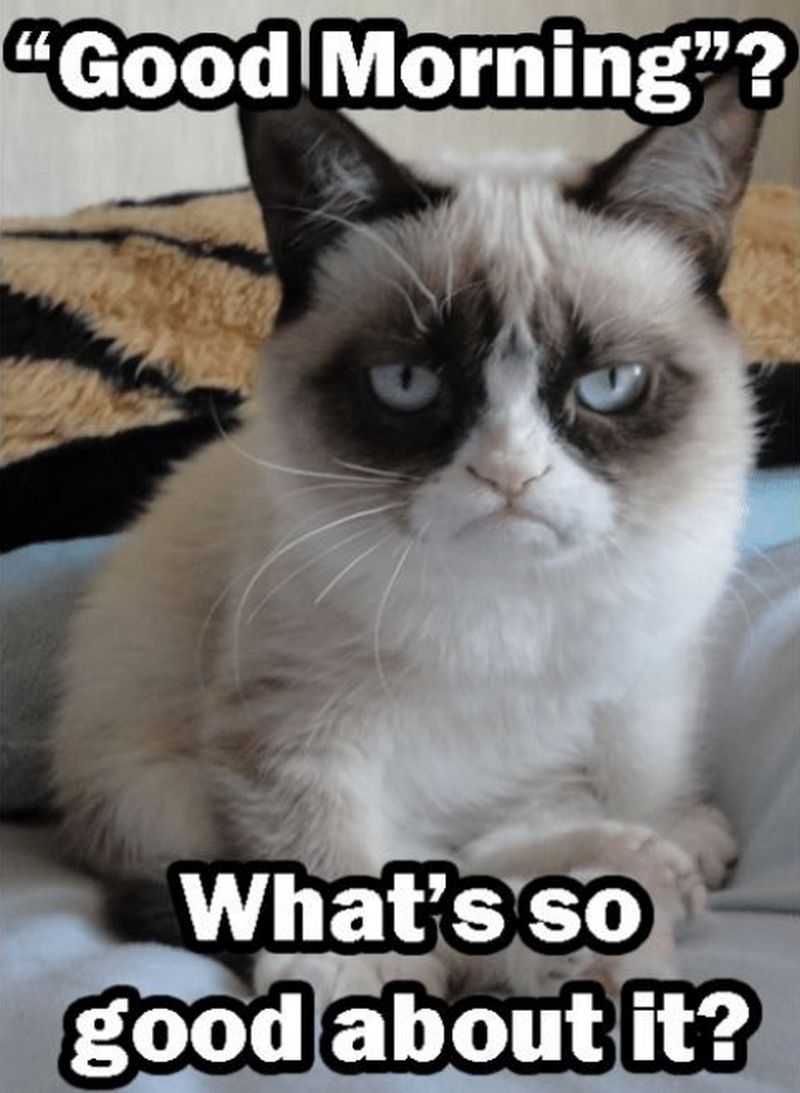 101 Good Morning Memes For Wishing a Beautiful Day To Him & Her