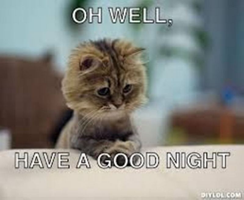 101 Good Night Memes for When You Want Funny Goodnight Wishes