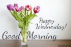 65 Happy Wednesday Quotes for Hump Day