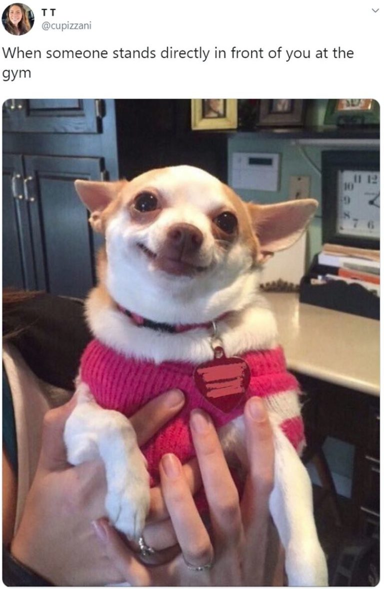 65 Gym Memes Offering Fitness Motivation in 2020