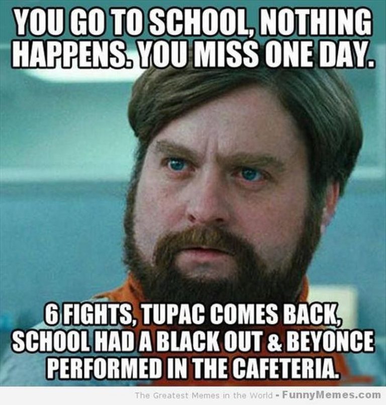 81 Funny Life Memes to Motivate and Inspire You