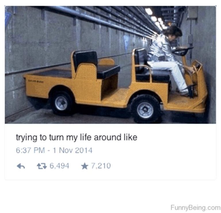 81 Funny Life Memes to Motivate and Inspire You in 2020 - Life Is Good