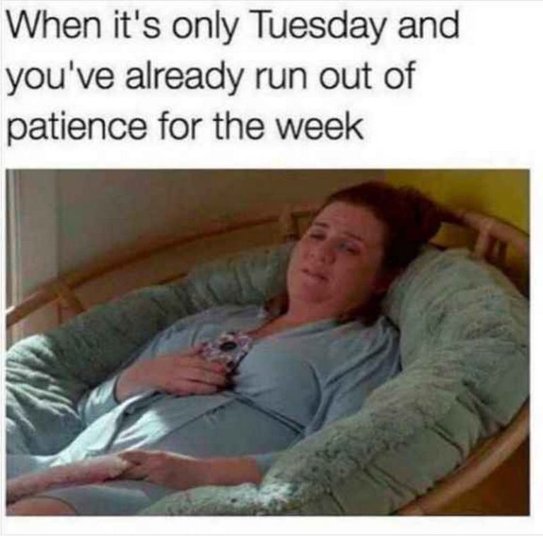 101 Funny Tuesday Memes When You're Happy You Made It