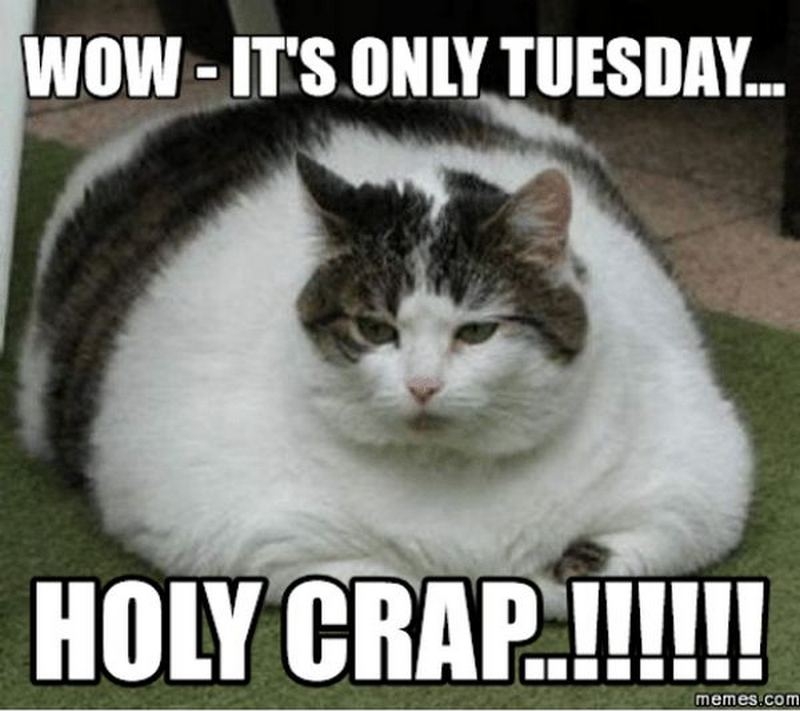 101 Funny Tuesday Memes When You're Happy You Survived a Workday
