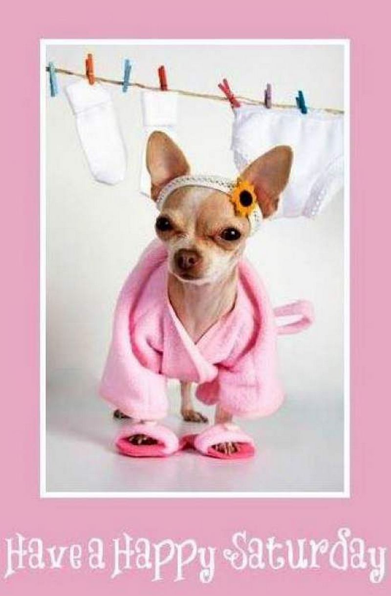 101 Funny Saturday Memes Will Make You Laugh From Morning Till Night