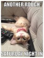 101 Funny Saturday Memes Will Make You Laugh From Morning Till Night