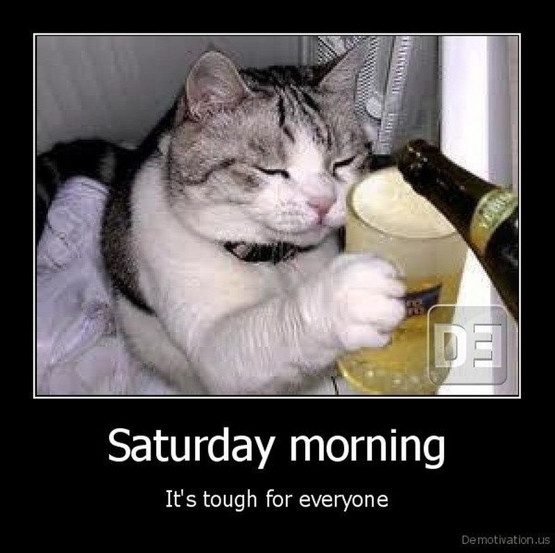 101 Funny Saturday Memes Will Make You Laugh From Morning Till Night